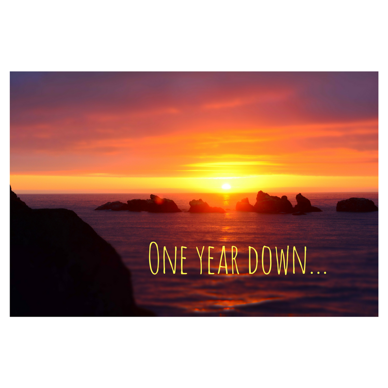 A Bloggers Journey - roamingmom - one year down